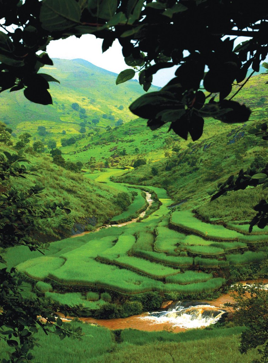10 Exquisite and amazing Valleys in India that every nature lover must ...