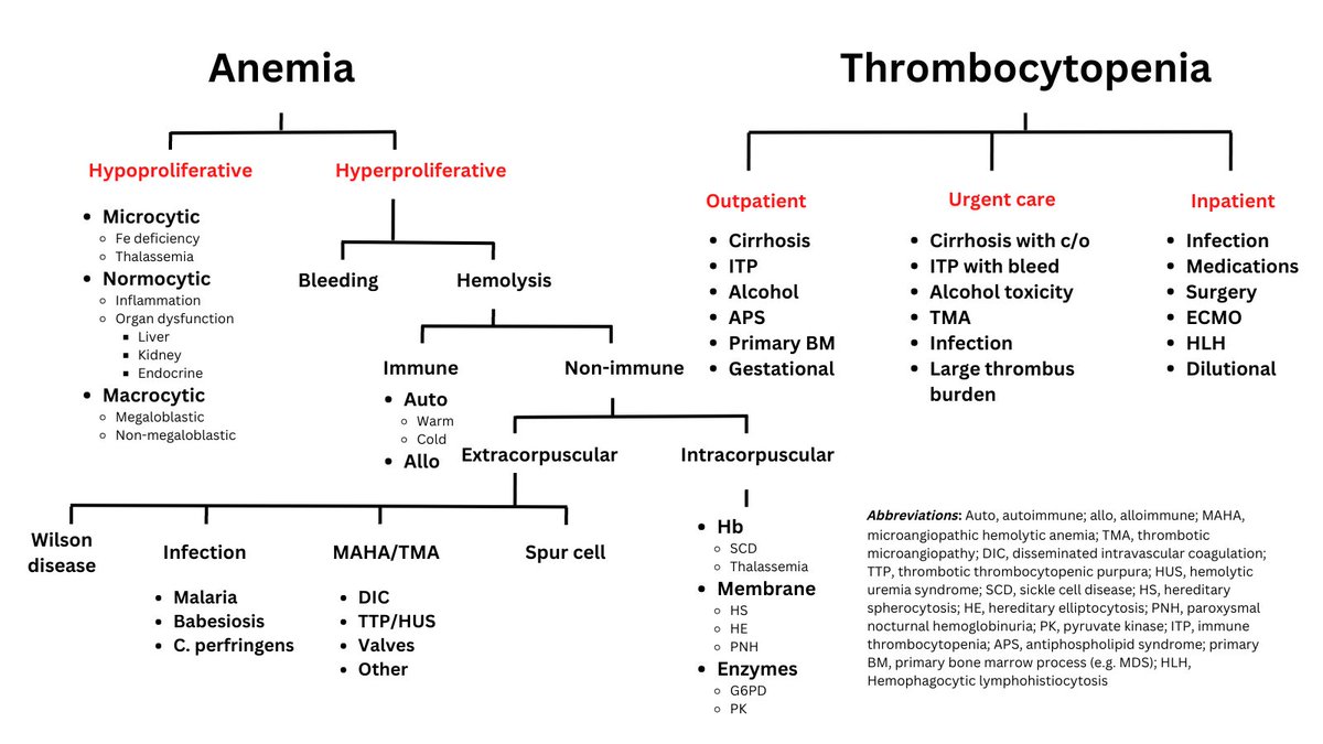 1/4 CASE - follow up Lots of great answers to case posted yesterday of ...