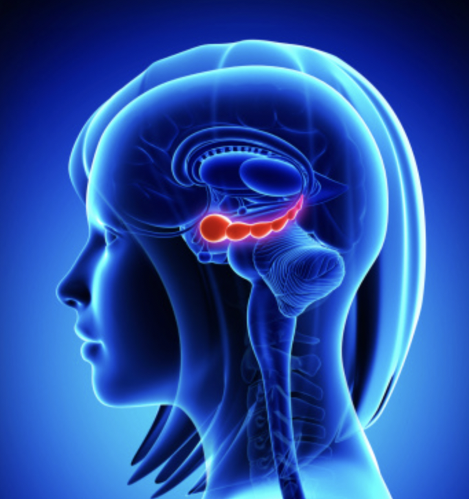 THE most powerful storytelling tool: Your brain. After a string of ...