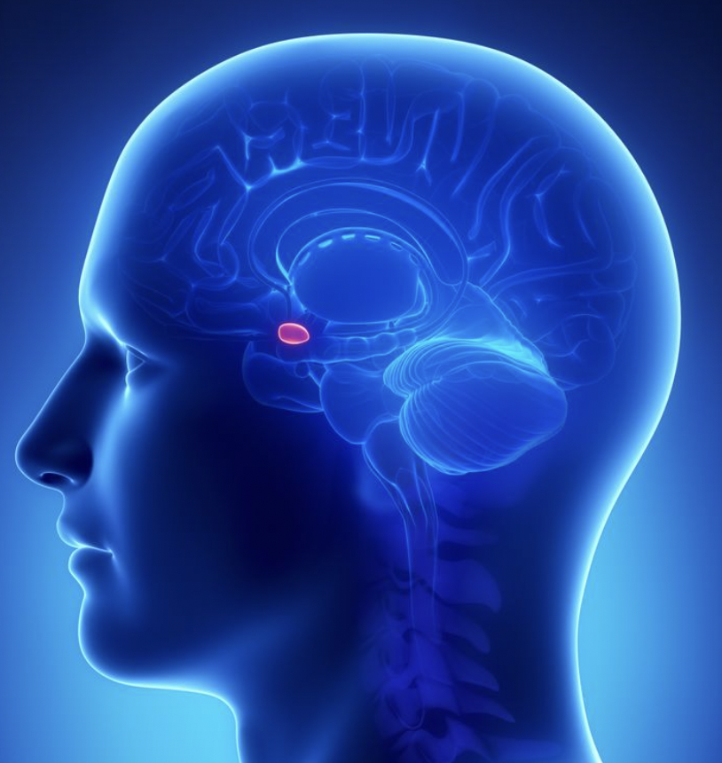 THE most powerful storytelling tool: Your brain. After a string of ...