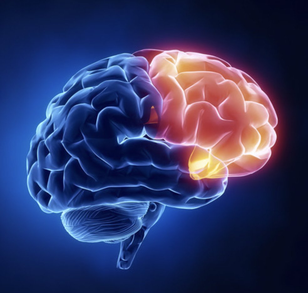 THE most powerful storytelling tool: Your brain. After a string of ...