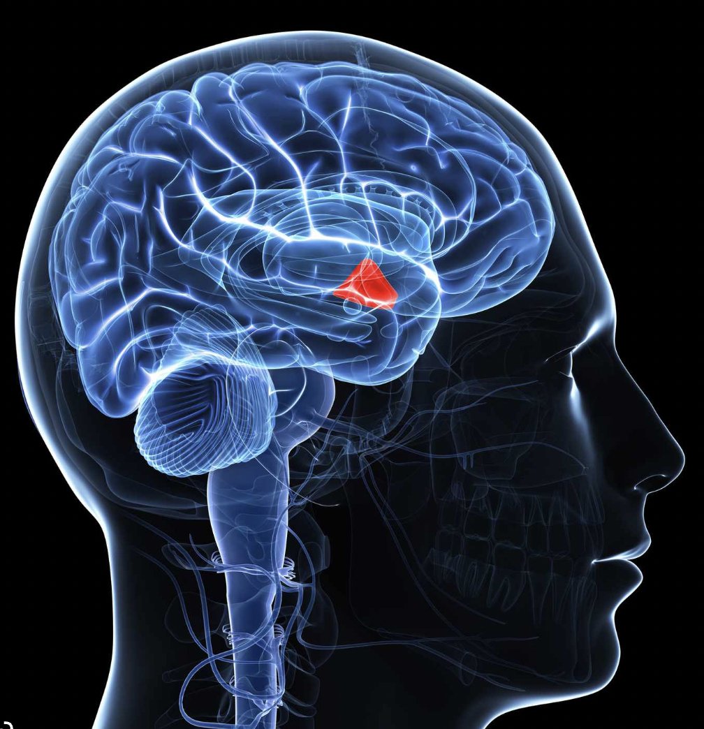 THE most powerful storytelling tool: Your brain. After a string of ...