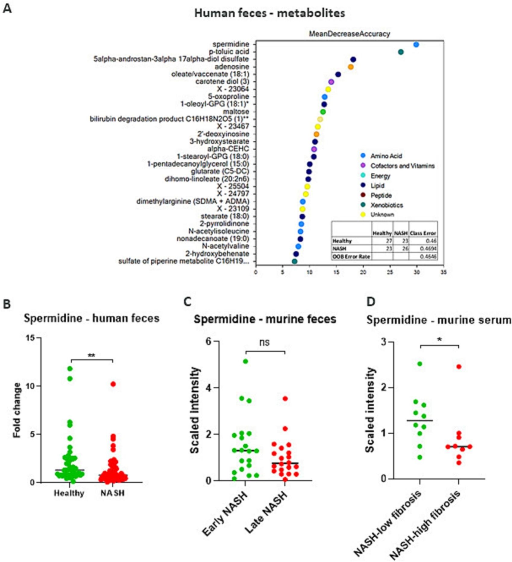 🥼Agingdoc1⭐MD, PhD 🔔 on Twitter: "Restoring polyamine levels by supplementation of spermidine ...