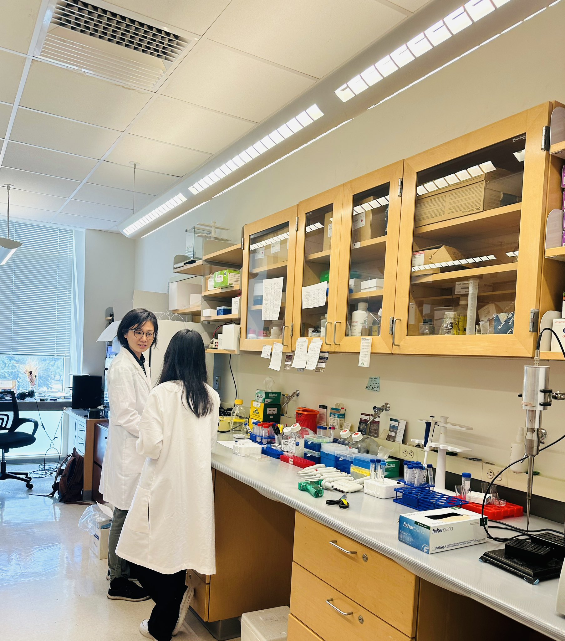 Dr. MEI HE on Twitter: "Clean up the lab to be ready for inspection! Every year we need to ...