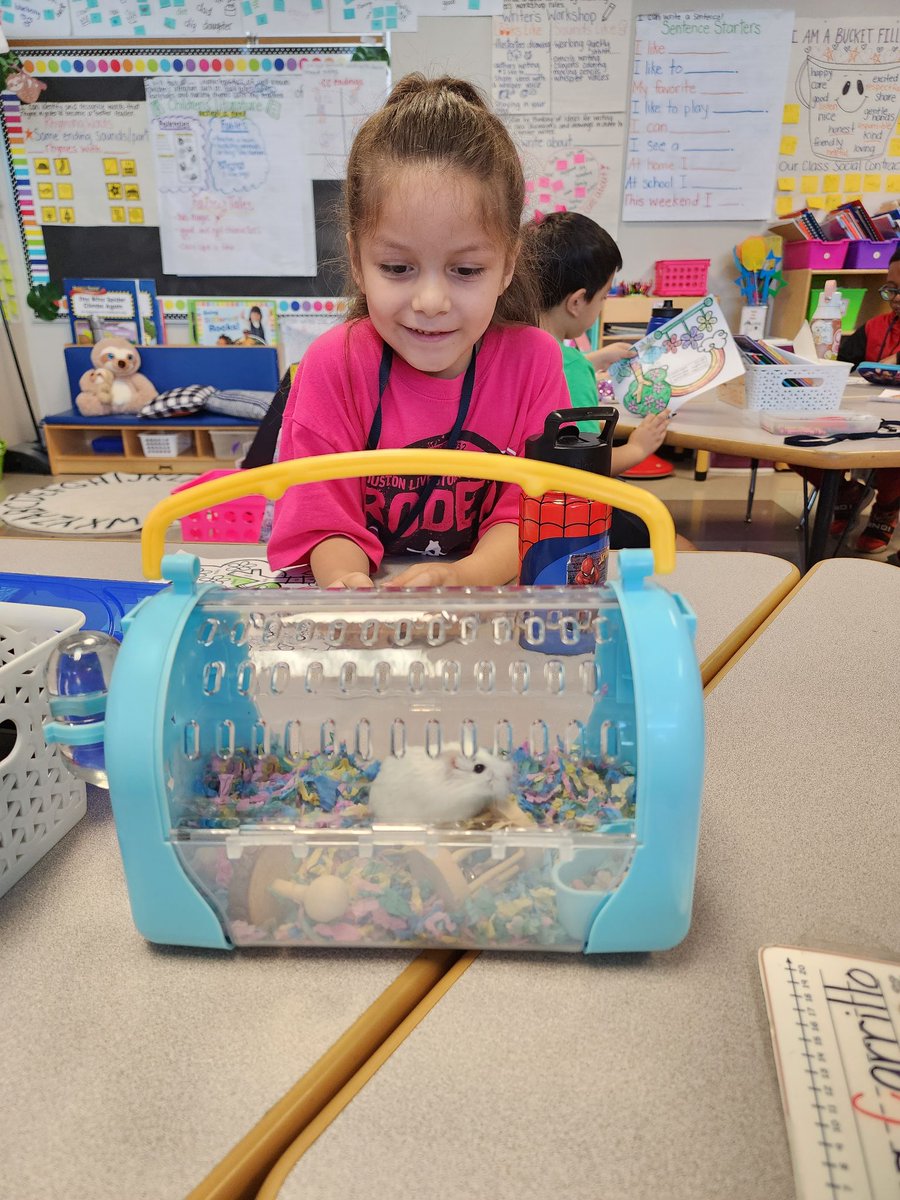 Mark Twain Elm. AISD on Twitter: "We recently finished reading World ...