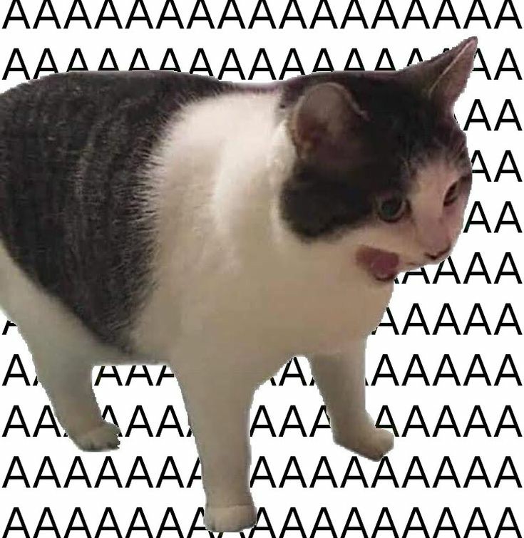 JAPANFESS TERANG on Twitter: "Terharu"