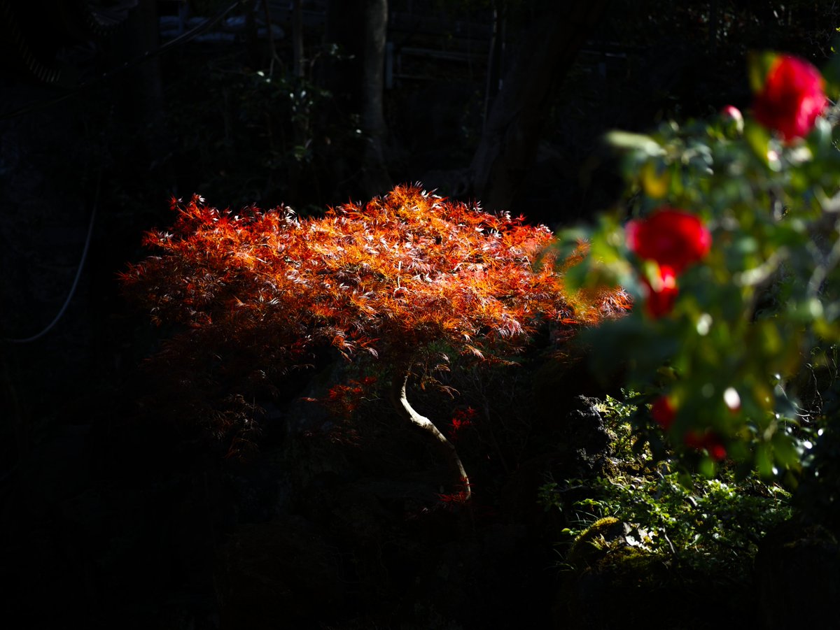 幸田 玲 on Twitter: "RT @TakeTJ1: Good morning everyone! Hope you all have a wonderful day🍀 . My ...