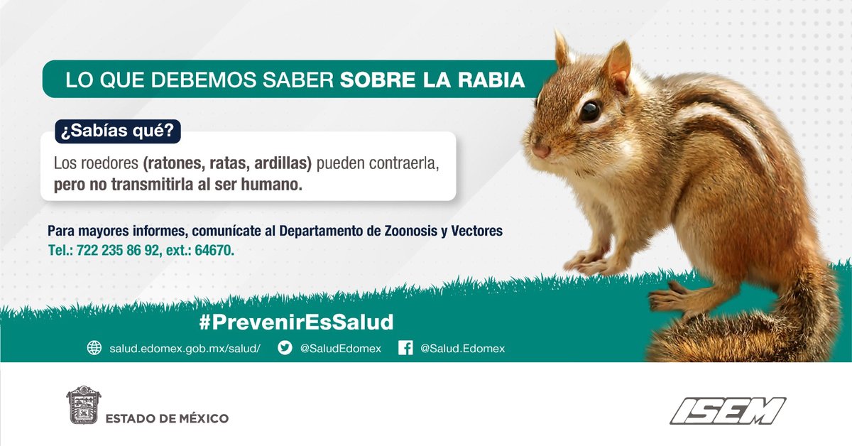 Secretaría de Salud del Estado de México on Twitter: "#Rabia | Para mayores informes ingresa 👉🏽 ...