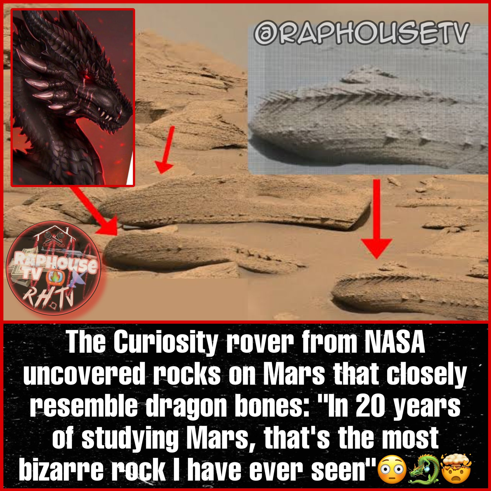 Nasa Mars Bone