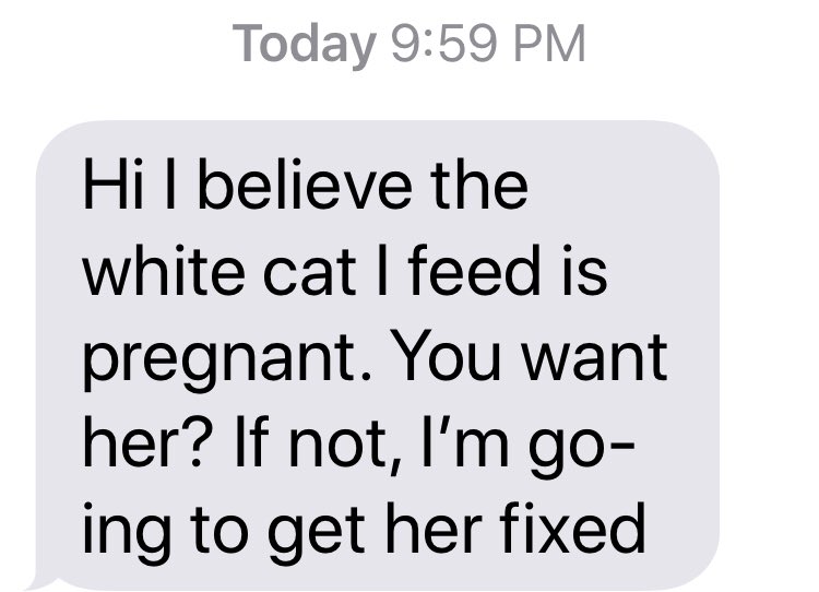 Gandolfs Legacy Cat Rescue On Twitter Put In The Manipulation How