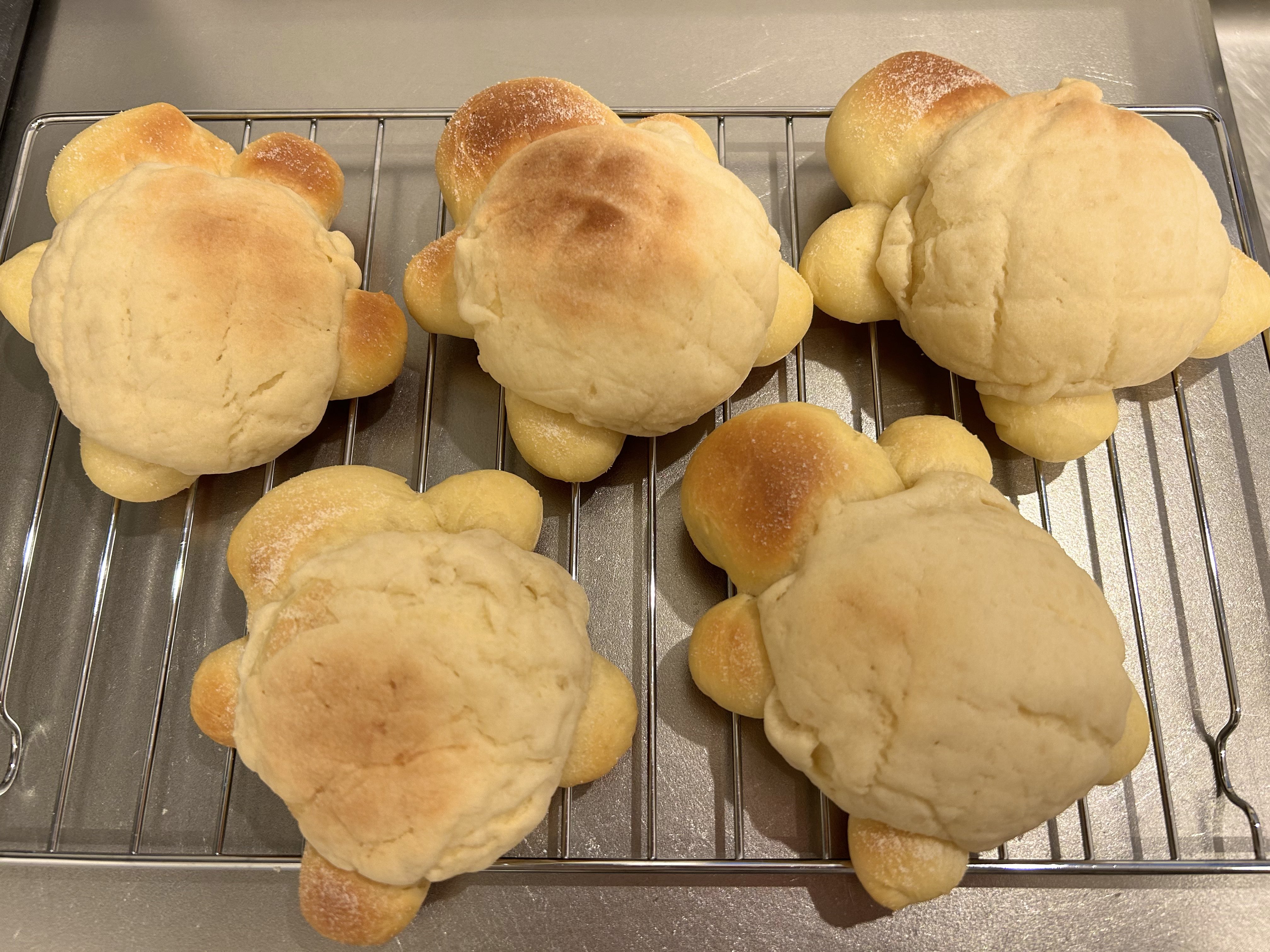 こぴ (@kopiimo) / Twitter