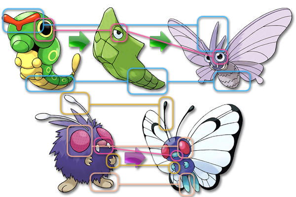 Butterfree Evolution Chart