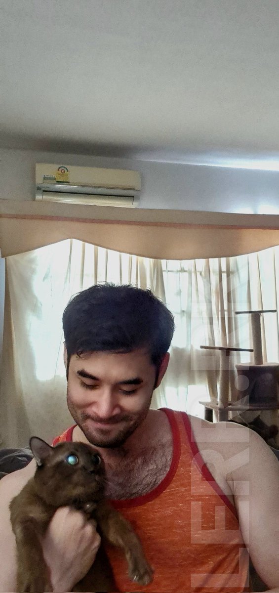 NU.SENSASIAN♂️🔞 on Twitter: "🙎 @lerr_rk 🇹🇭 I've a Soft spot for a handsome hairy cat dad."