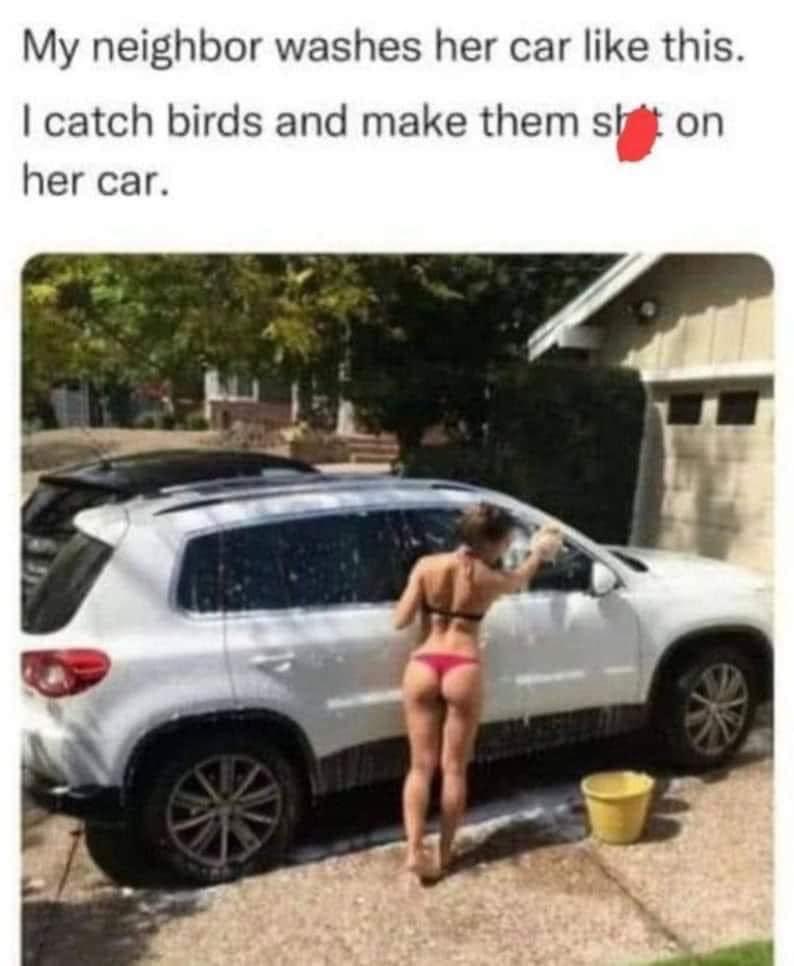 MemeWorld on Twitter: