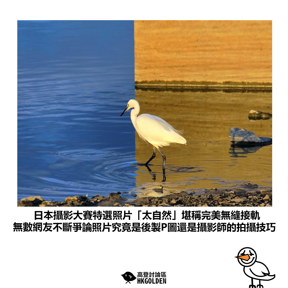 香港高登 Hkgolden On Twitter 【日本攝影大賽特選照片「太自然」堪稱完美無縫接軌 無數網友不斷爭論照片究竟是後製p圖還是