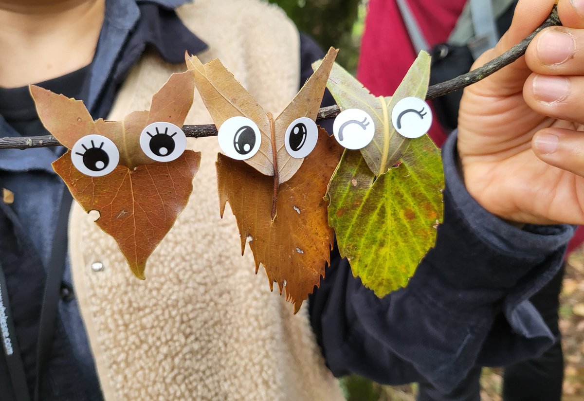 OLT on Twitter: "참여형 수업은 내향인을 두배로 지치게 해요.."