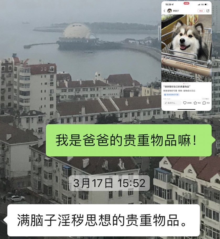 没有名字的小狗 On Twitter σ≧∀≦σ