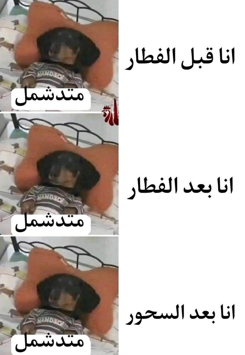 Arab Memes on Twitter: