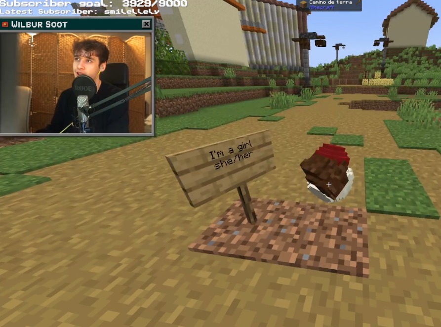 Blimpcat 🪷 QSMP on Twitter: "i love her already"