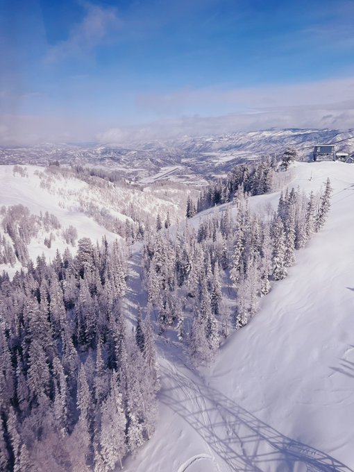 TW Pornstars - Vivienne Cole. Pictures and videos from Twitter. Page 2