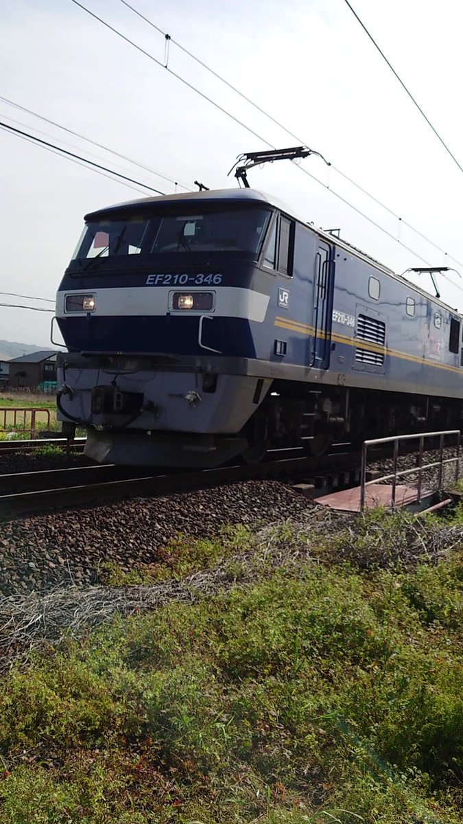 鯛鮃 on Twitter: "2023/04/16 73レ #EF210-346 #山陽本線下り 下松駅〜櫛ヶ浜駅 これで、桃太郎コンプリートかと思いきや354号が残っていました…次々に増産 ...