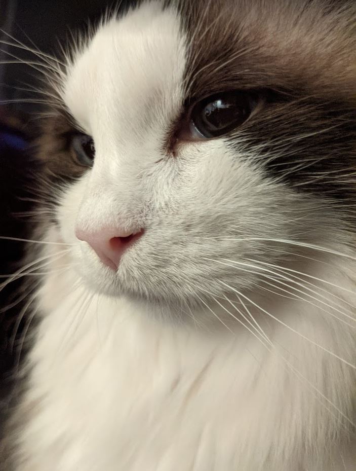 Nathan Scott Phillips