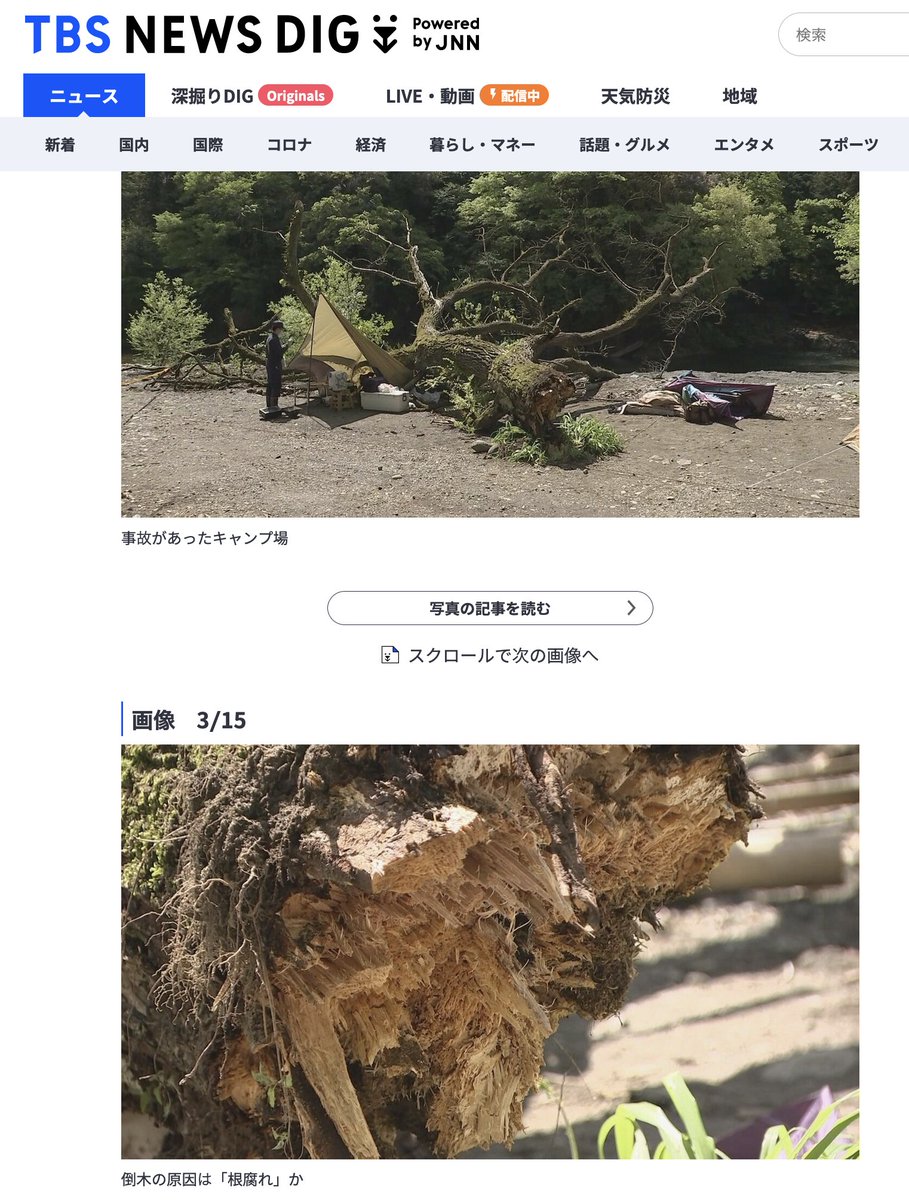 makotokasai on Twitter: "一部の枝の片側が朽ちているのが見える。この木が枯れていたことは分かったはず。相模原市だけでなく神奈川県の木々は沢山枯れてるから気をつけないと ...