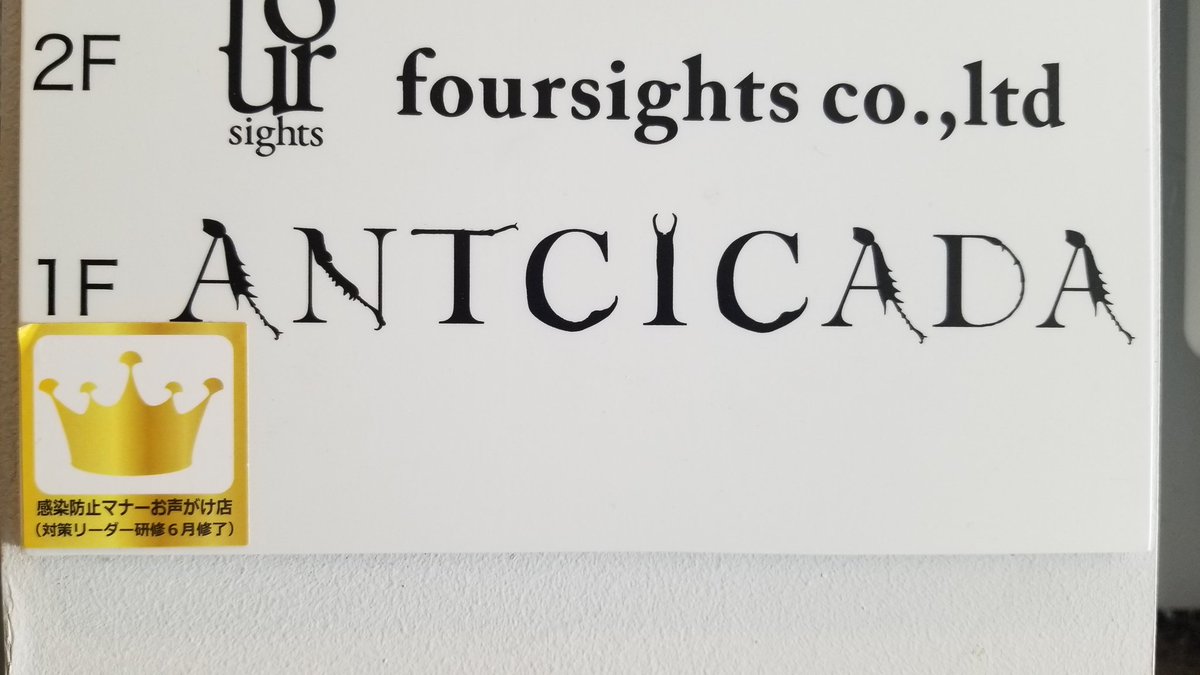 YAZIRI_art on Twitter: "#浅草橋 の #ANTCICADA さん、行ってきました。正しく衝撃的。。。 何からはなそうかしら…とにかく良かった！！ ↓は虫好きとしての贔屓 ...