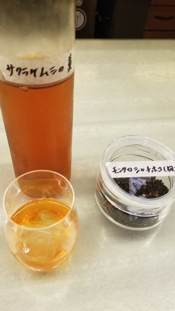 YAZIRI_art on Twitter: "#浅草橋 の #ANTCICADA さん、行ってきました。正しく衝撃的。。。 何からはなそうかしら…とにかく良かった！！ ↓は虫好きとしての贔屓 ...