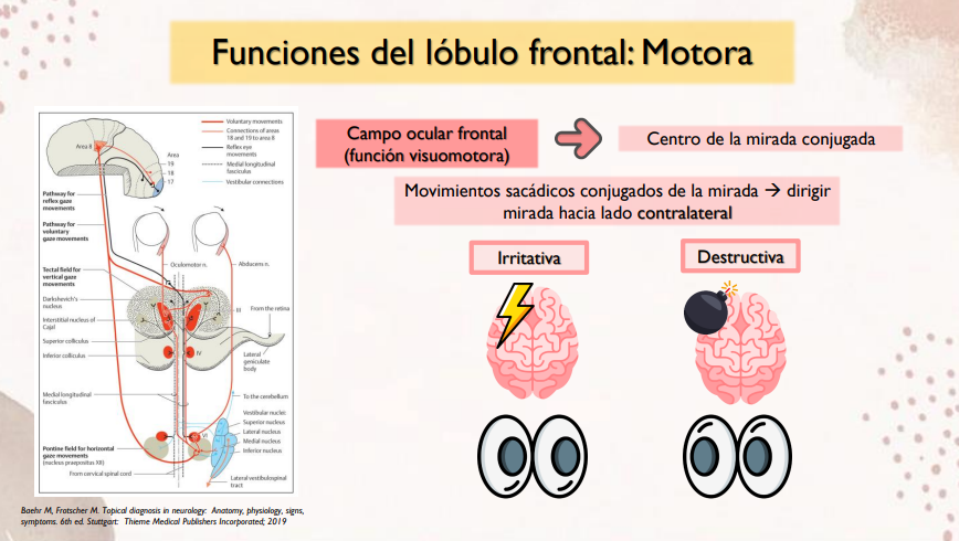 Y para terminar el mes de abril repasamos algunas ideas clave💡de la 🧠 ...
