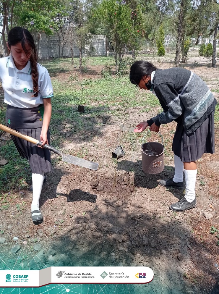Cobaep On Twitter 🌳🚮 Con Mucha Energía Y Entusiasmo Nuestras Y