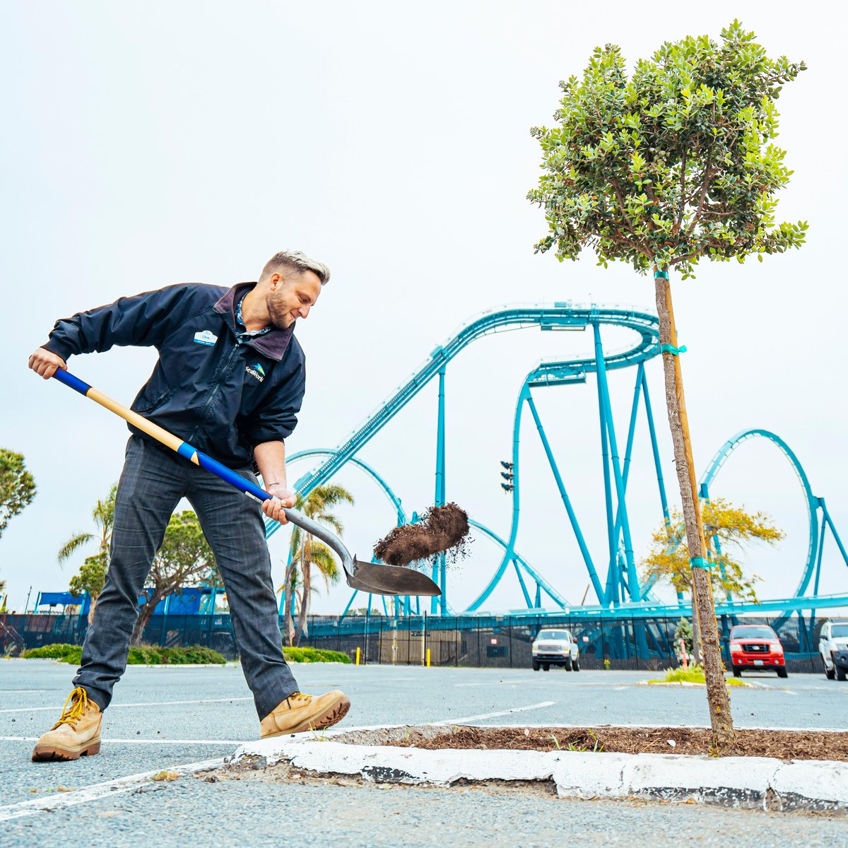 SeaWorld should continue their tree planting initiatives for the ...