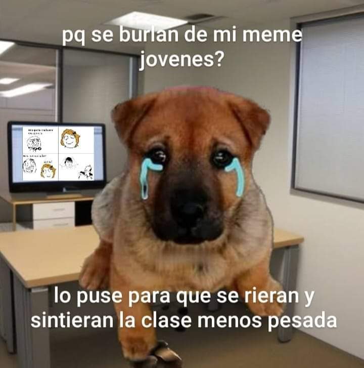 Memes Perrito Llorando Perroculero Meme Perroculero Discover