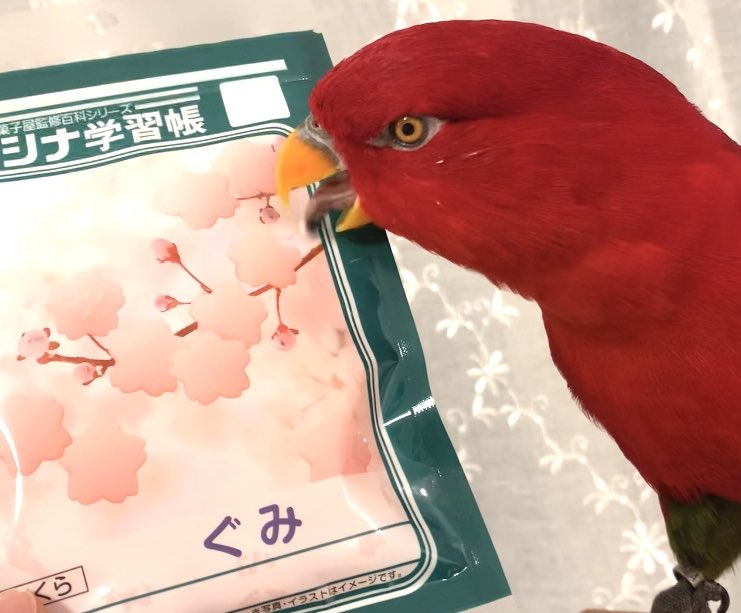 Hideaki Utsumi on Twitter: Hideaki Utsumi on Twitter:
