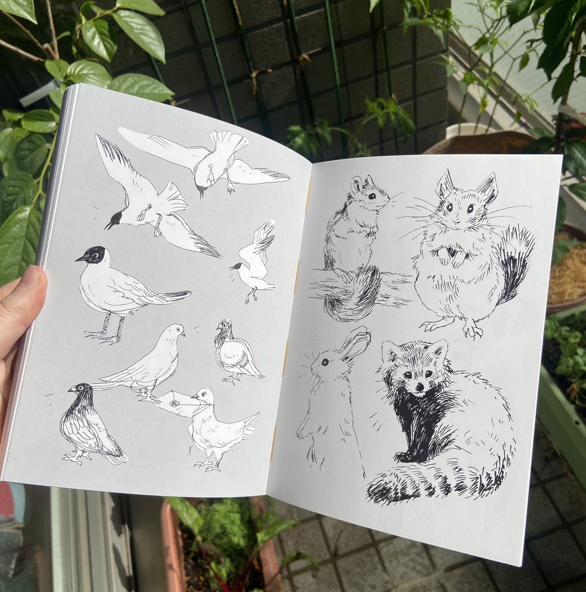 Heikala | Comitia144 ぬ27b on Twitter: "新刊がComitia144で発売される予定です💕"