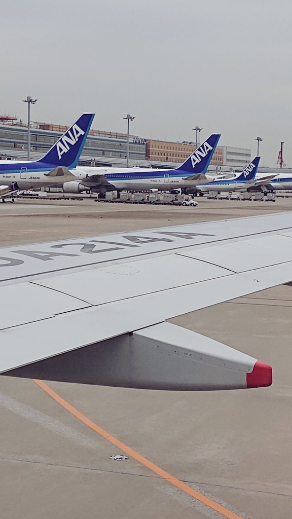 コギいち on Twitter: "「 #ANA の機体」 広島へ行く時に撮影 ️ #ANA窓"