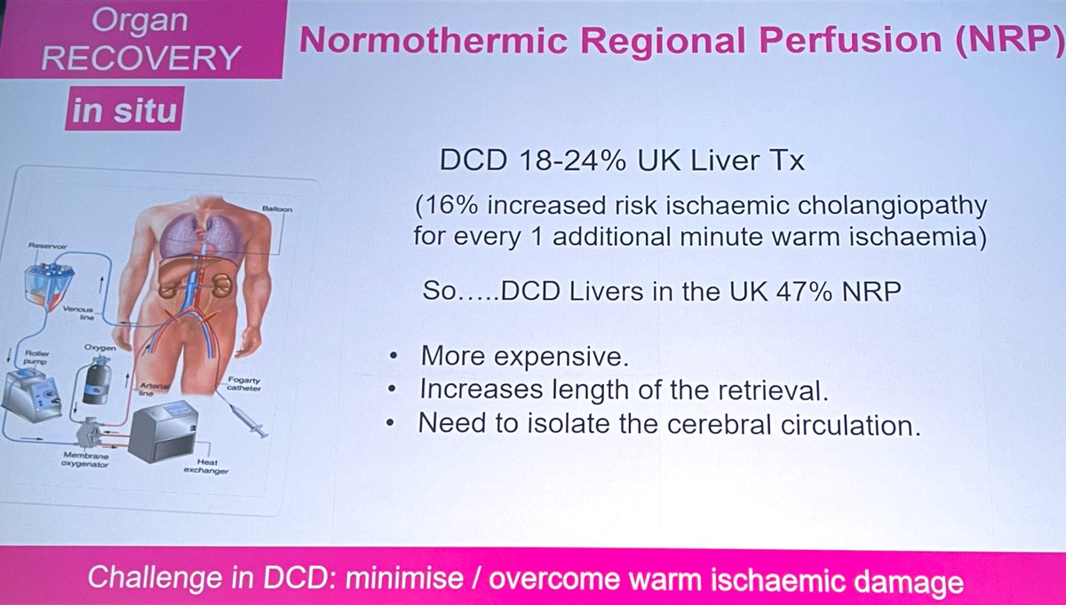 M Velia Antonini on Twitter: "Advances in DCD organ donation? NRP (EISOR) & NMP @AEA_rubino # ...
