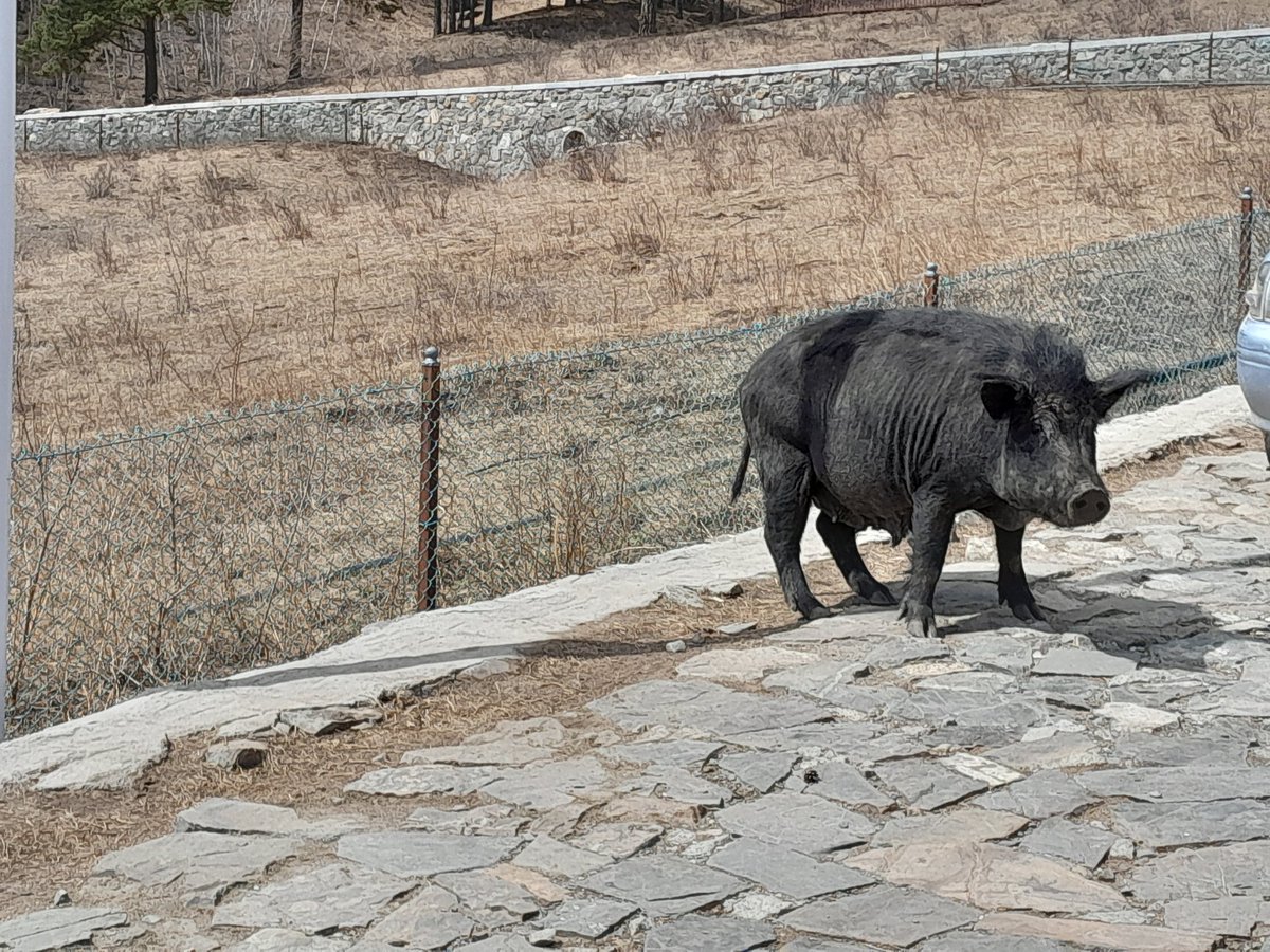🌸Дарханы Чимэг🌸 On Twitter Аглагын хийд ороод ирлээ Ороход 5к гээд хурааж авч бна 1хүнээс