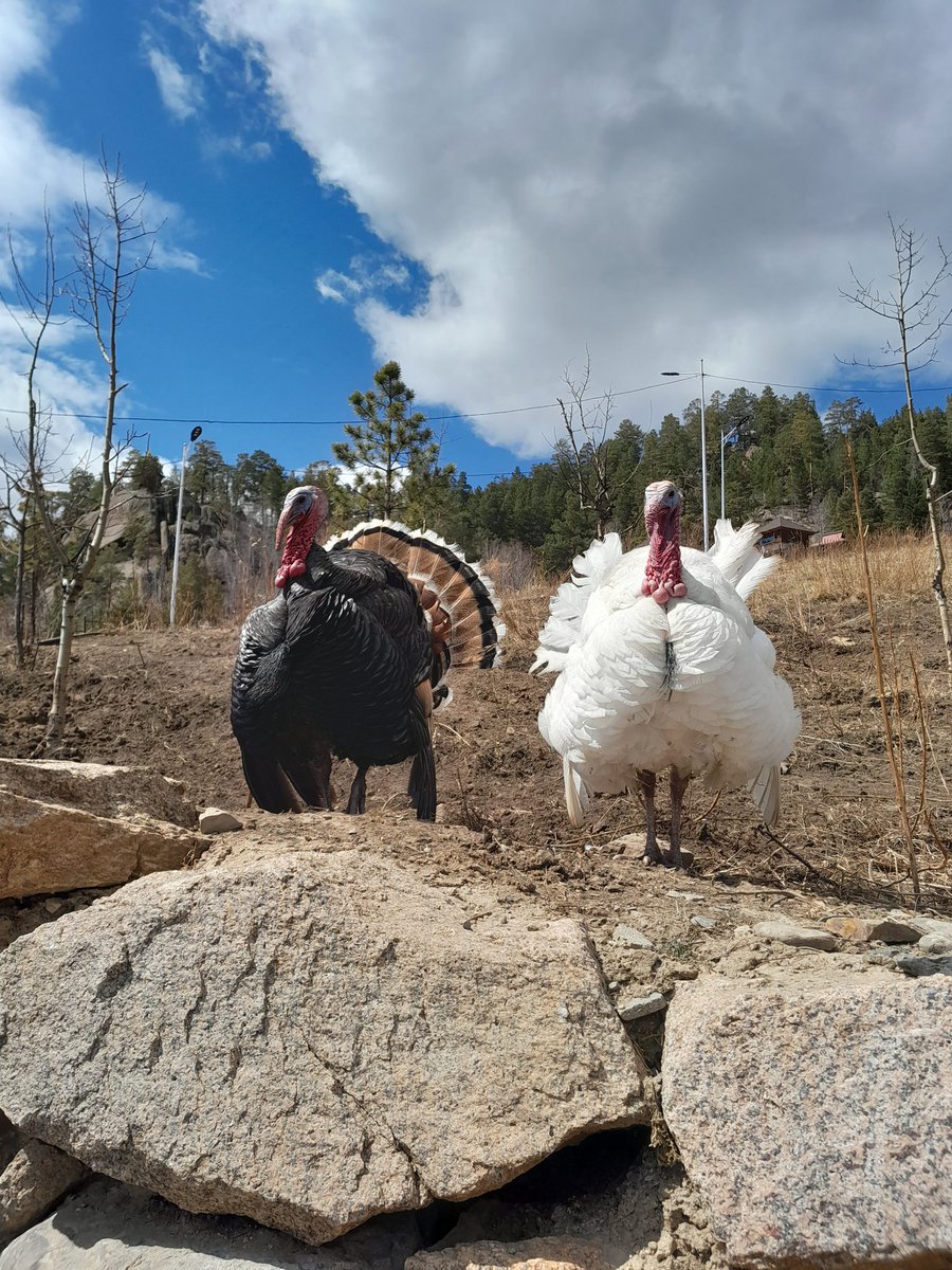 🌸Дарханы Чимэг🌸 On Twitter Аглагын хийд ороод ирлээ Ороход 5к гээд хурааж авч бна 1хүнээс