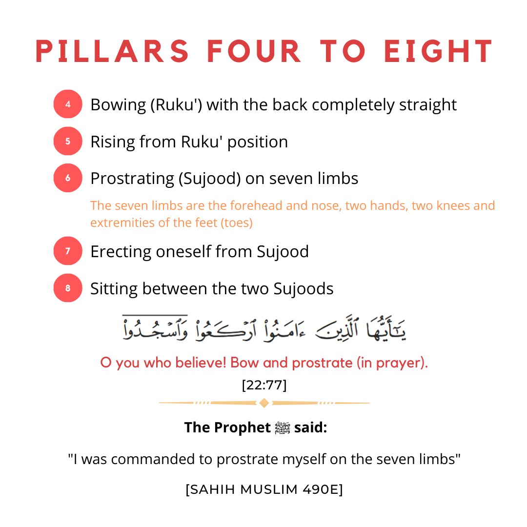 🧵 The Conditions, Pillars, and Obligations of the Prayer In the Hanbali ...