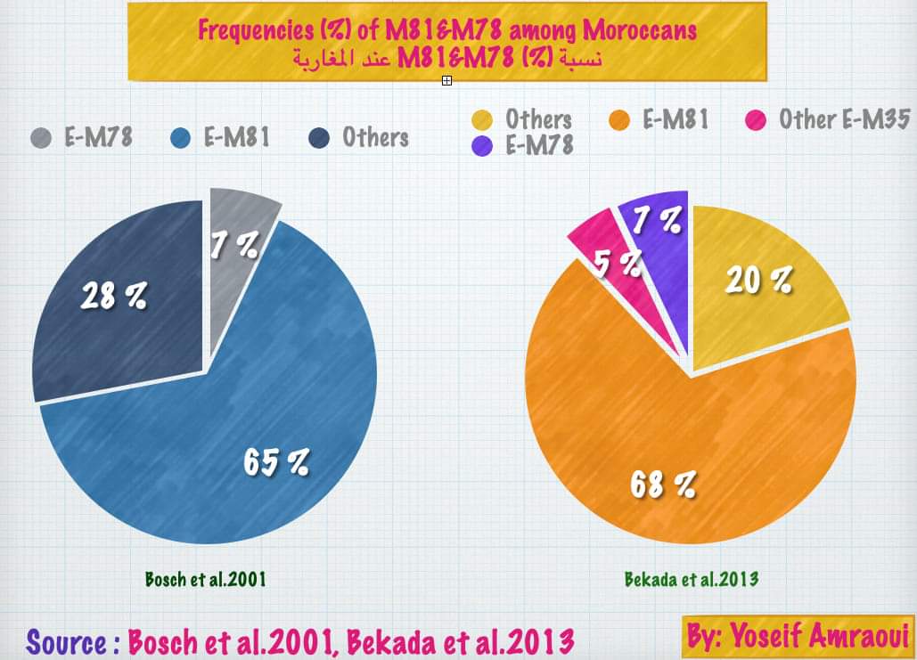 الهابلوغروب E يتصدر في المدن المغربية بهيمنة قصوى، و التحورات المهيمنة تحته في المغرب هي ...