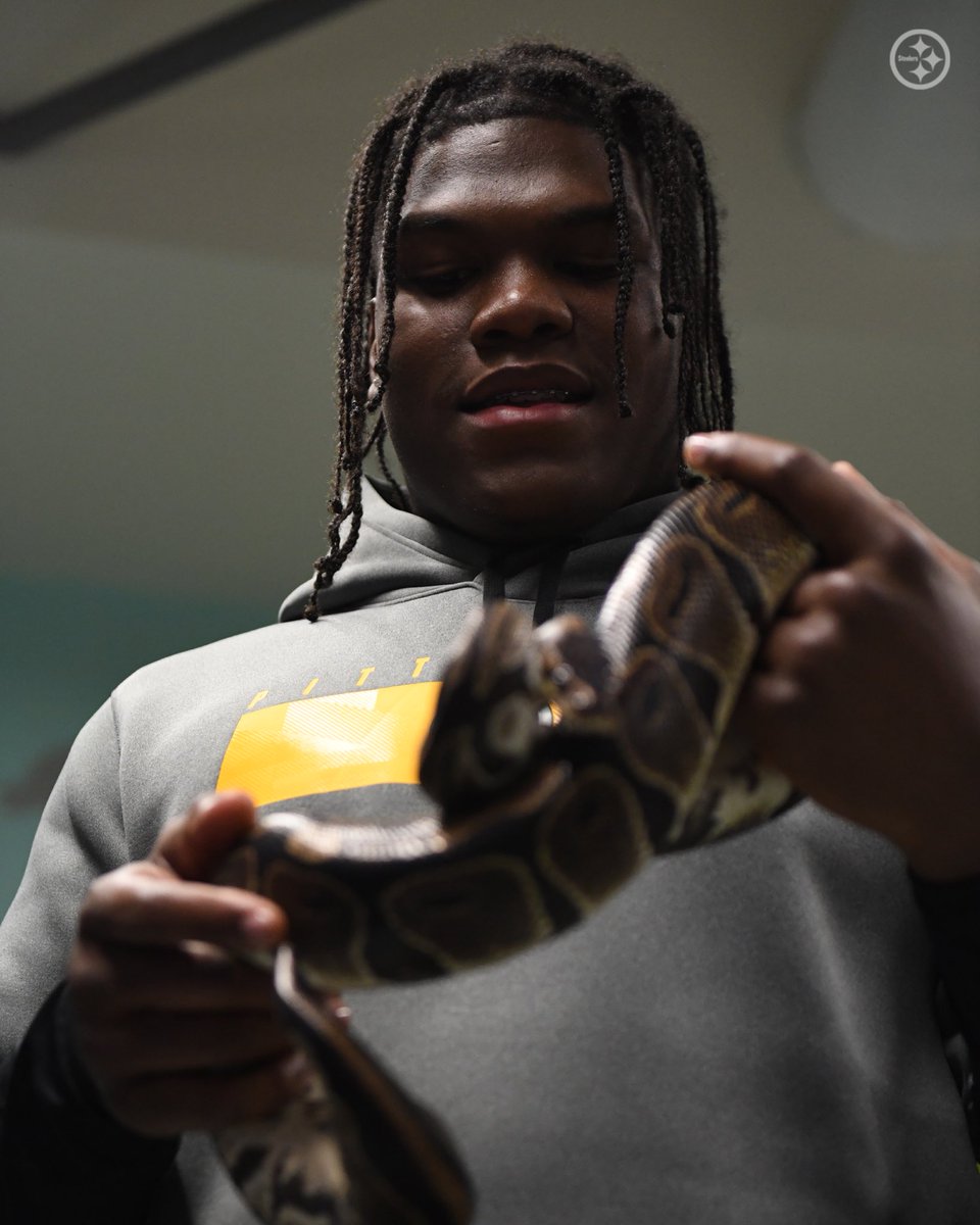 pittsburgh-steelers-on-twitter-big-snake-guy