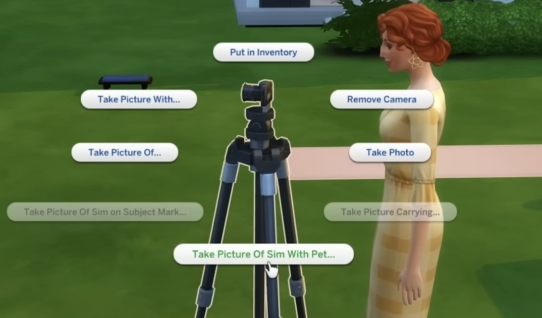 Sims 4 Camera On Tripod How To Connect Your Qualisys System