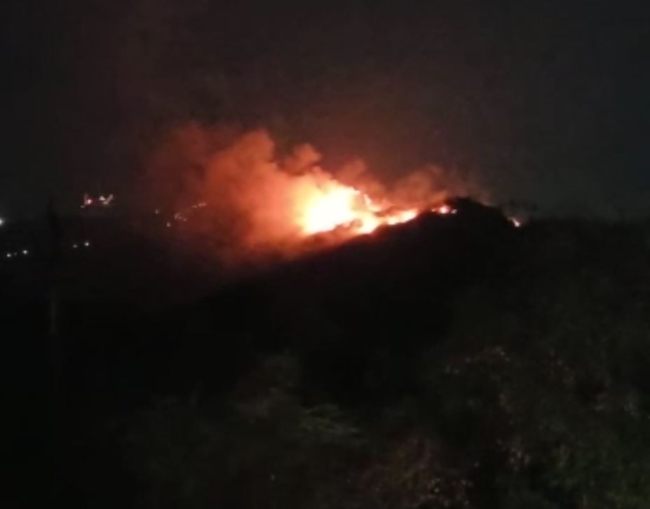 Rain helps firefighters control fire on Pavagadh Hill, 6 hectares land ...