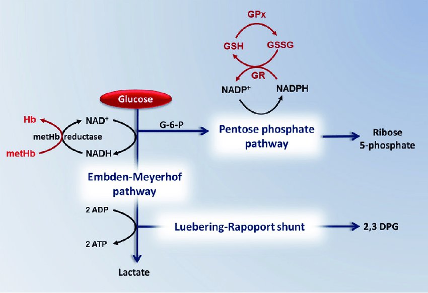 tweetorial-on-why-we-should-not-give-bicarbonate-in-patients-of-dka