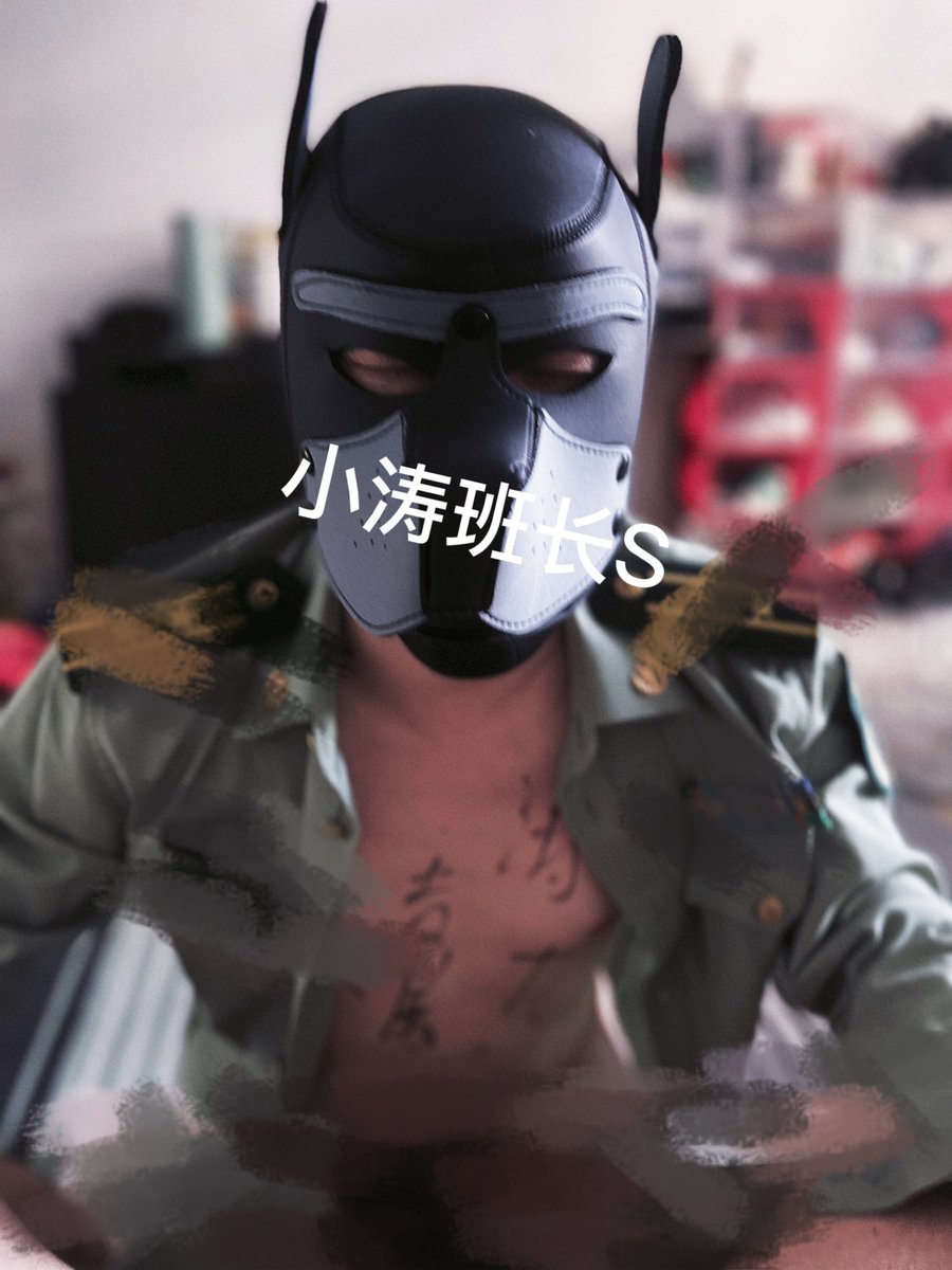 小涛班长S（重庆） on Twitter: "想玩狗儿子了，但是因为工作原因好久没见了，只能等"
