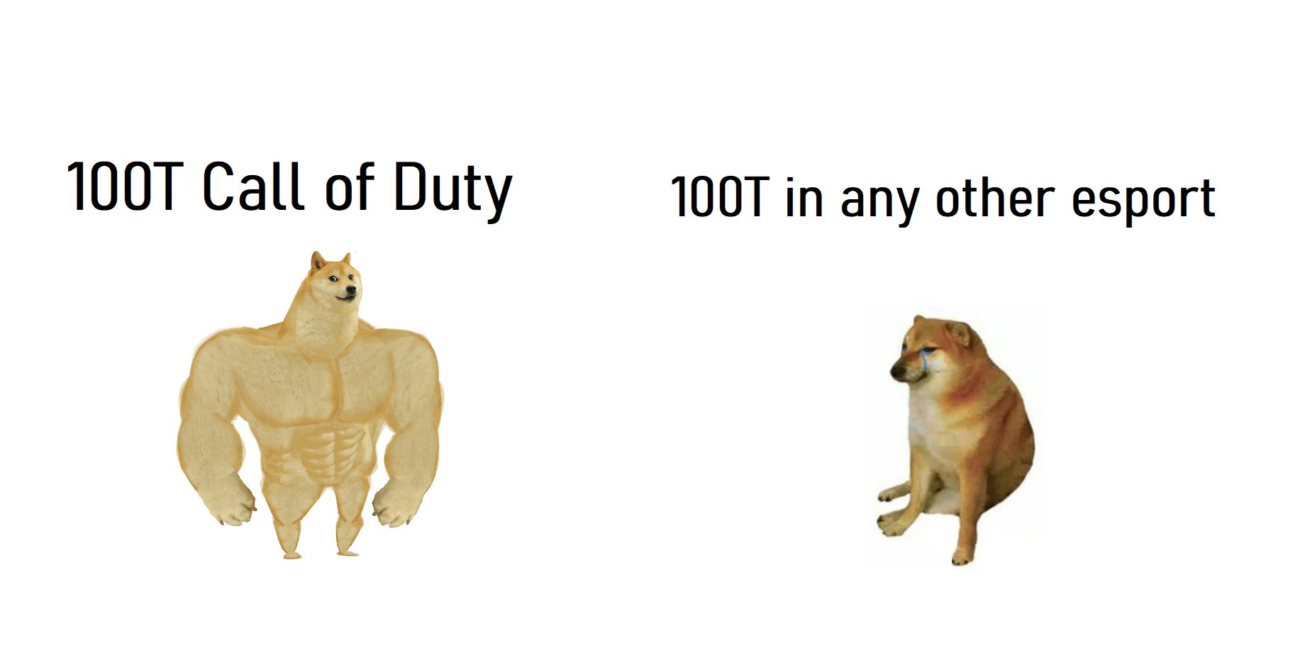 Shibe Meme Call Of Duty