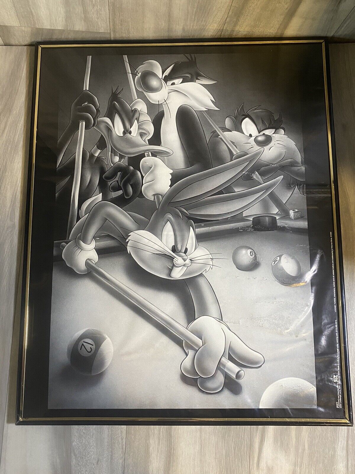 Looney Tunes Tegninger Spille Basketball