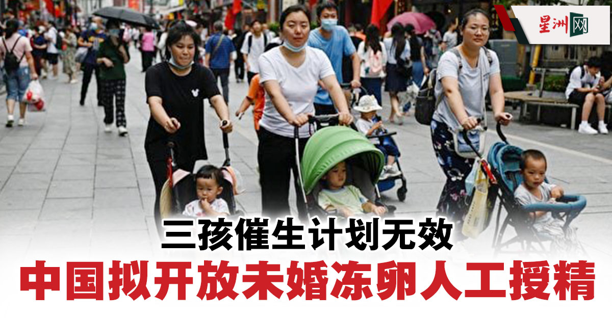 Sin Chew Daily 星洲日報 On Twitter 部分专家认为难以量化试管婴儿在中国的总需求与前景。 Sinchew 星洲
