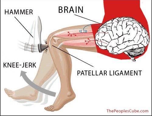 Hammer Hitting Brain
